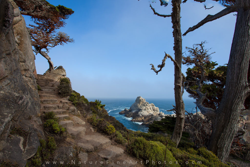 Point Lobos Carmel Steps to Heaven Photo | Nature Photos for Sale